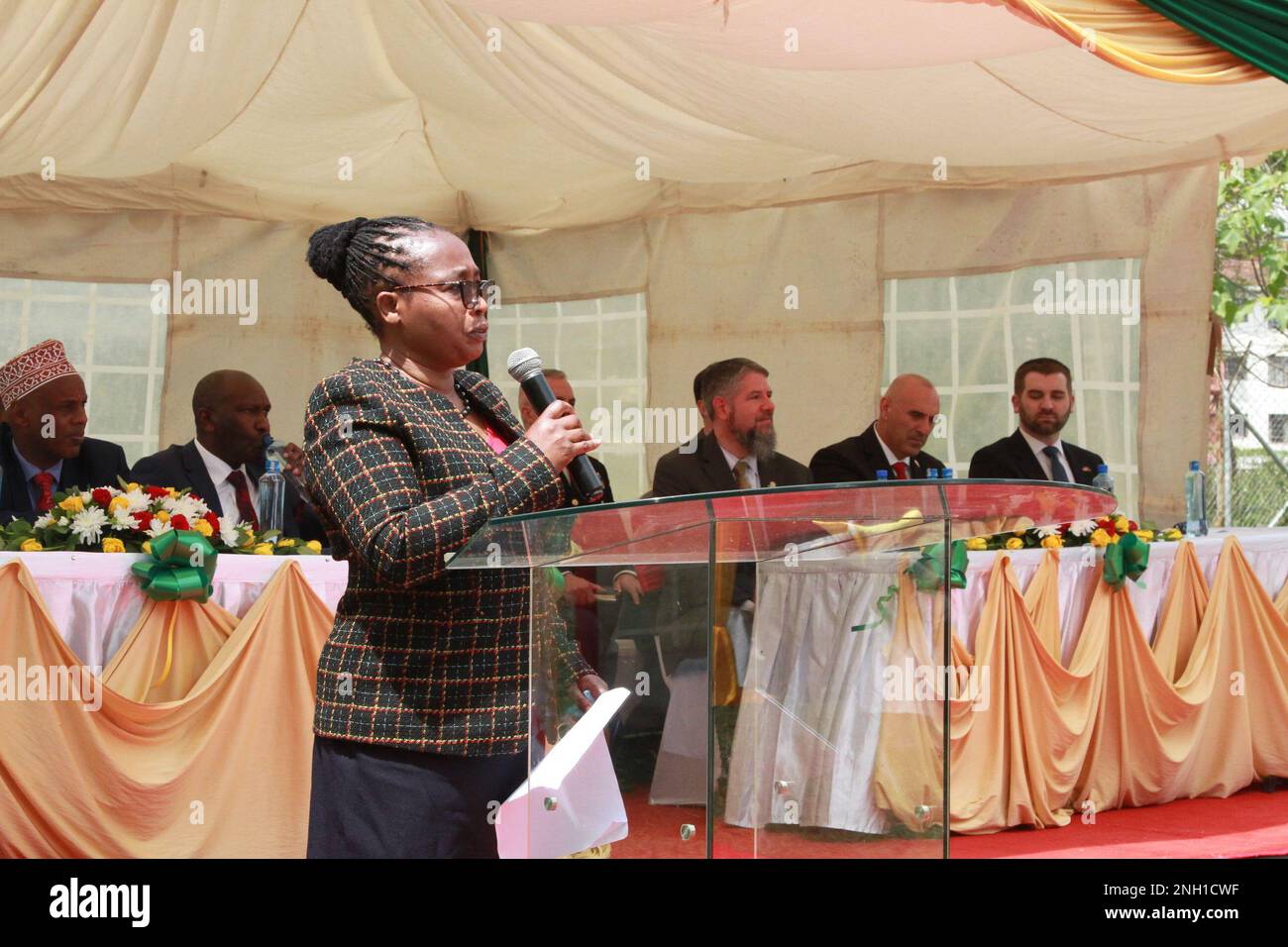 Chief Executive Officer Dr. Jane Wachira of the Kenya Veterinary ...