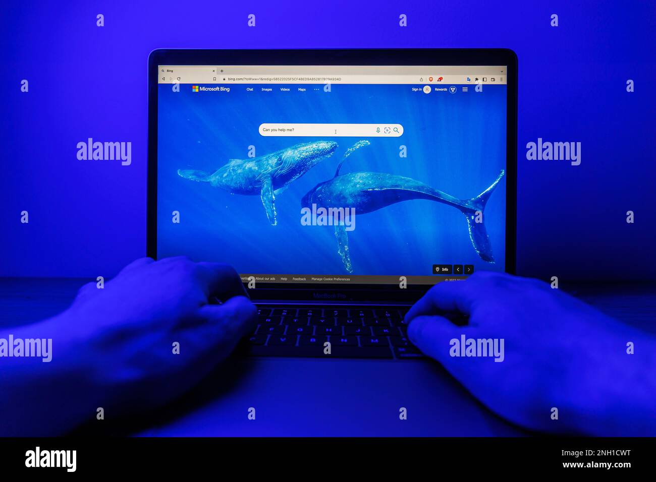 Microsoft Bing on computer. Man working on PC with Microsoft Bing ...