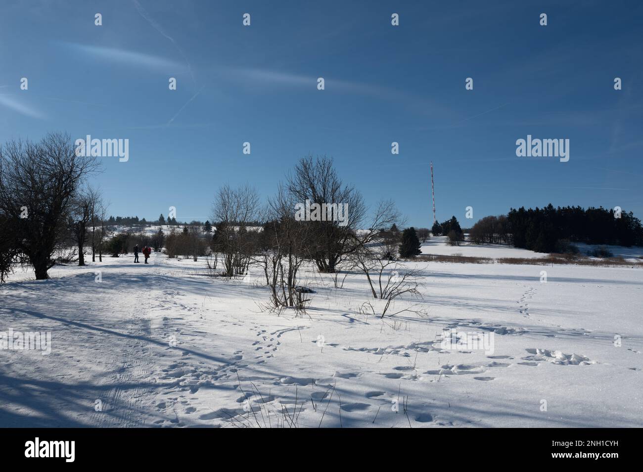 Lots of snow in nature, with trees and blue sky in the high Rhoen ...
