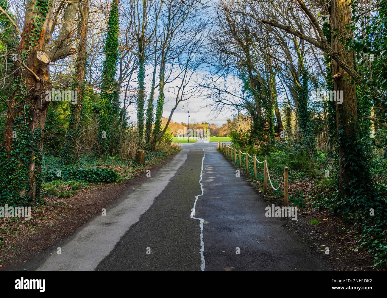 Marley Park in South Dublin Ireland in the early spring Stock Photo - Alamy