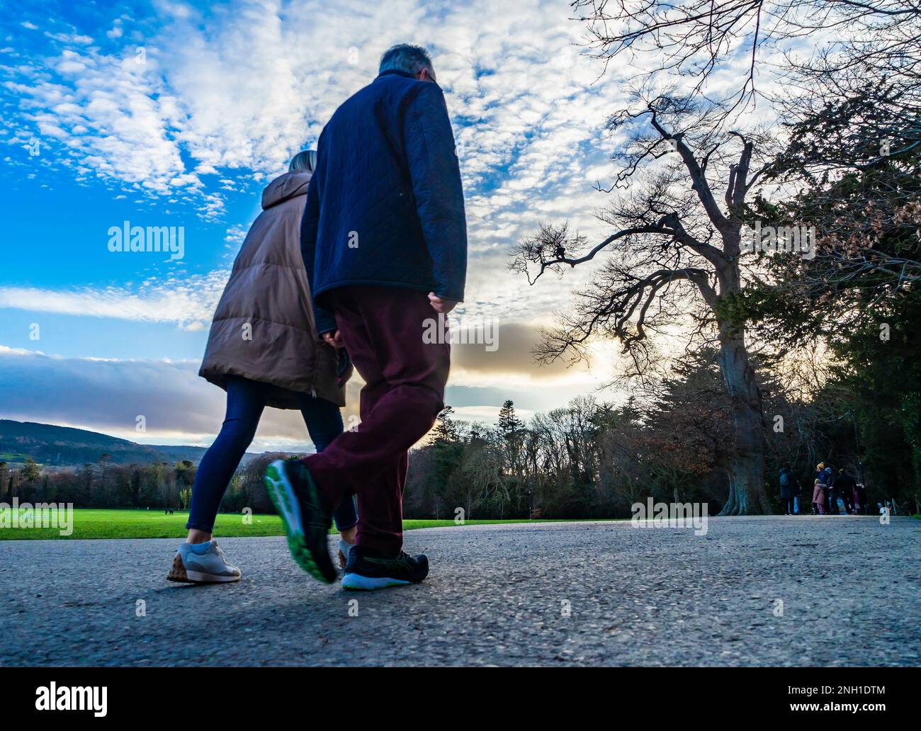 Marley Park in South Dublin Ireland in the early spring Stock Photo - Alamy