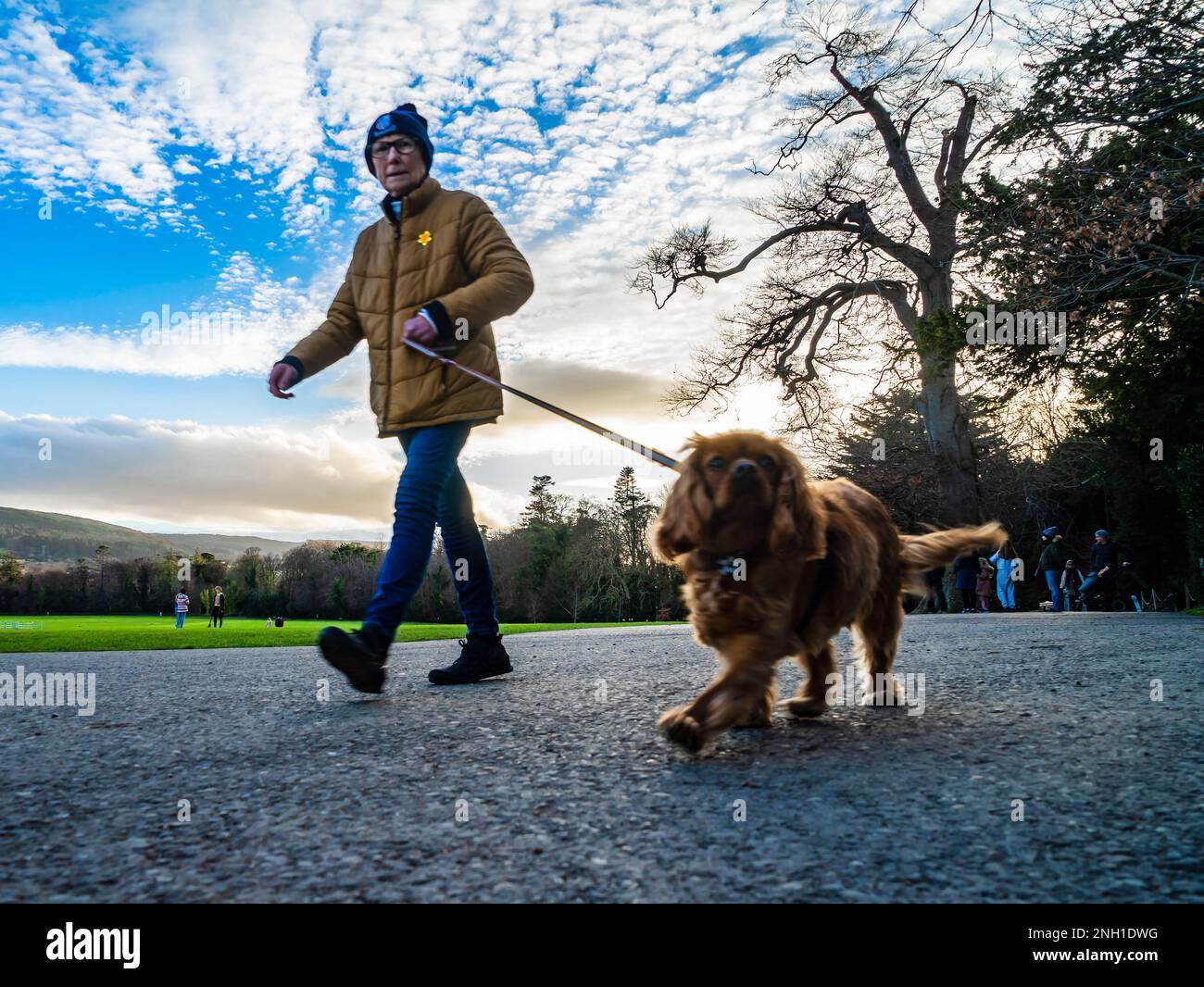 Marley Park in South Dublin Ireland in the early spring Stock Photo - Alamy