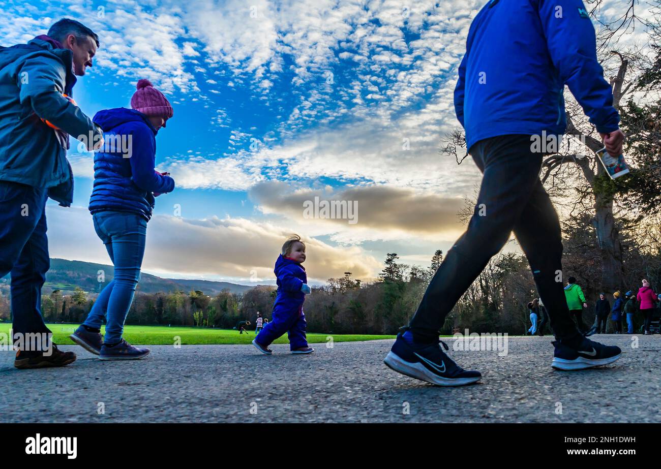 Marley Park in South Dublin Ireland in the early spring Stock Photo - Alamy