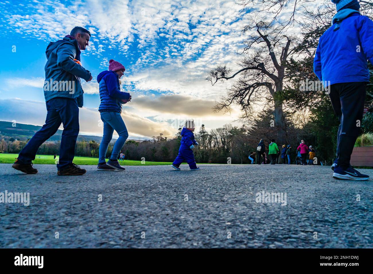Marley Park in South Dublin Ireland in the early spring Stock Photo - Alamy
