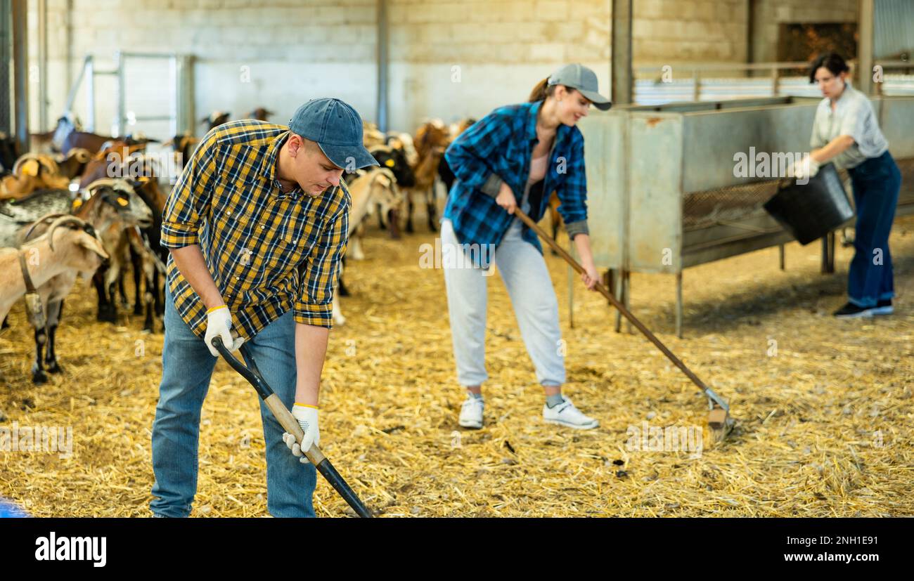 Typical german agricultural european hi-res stock photography and ...