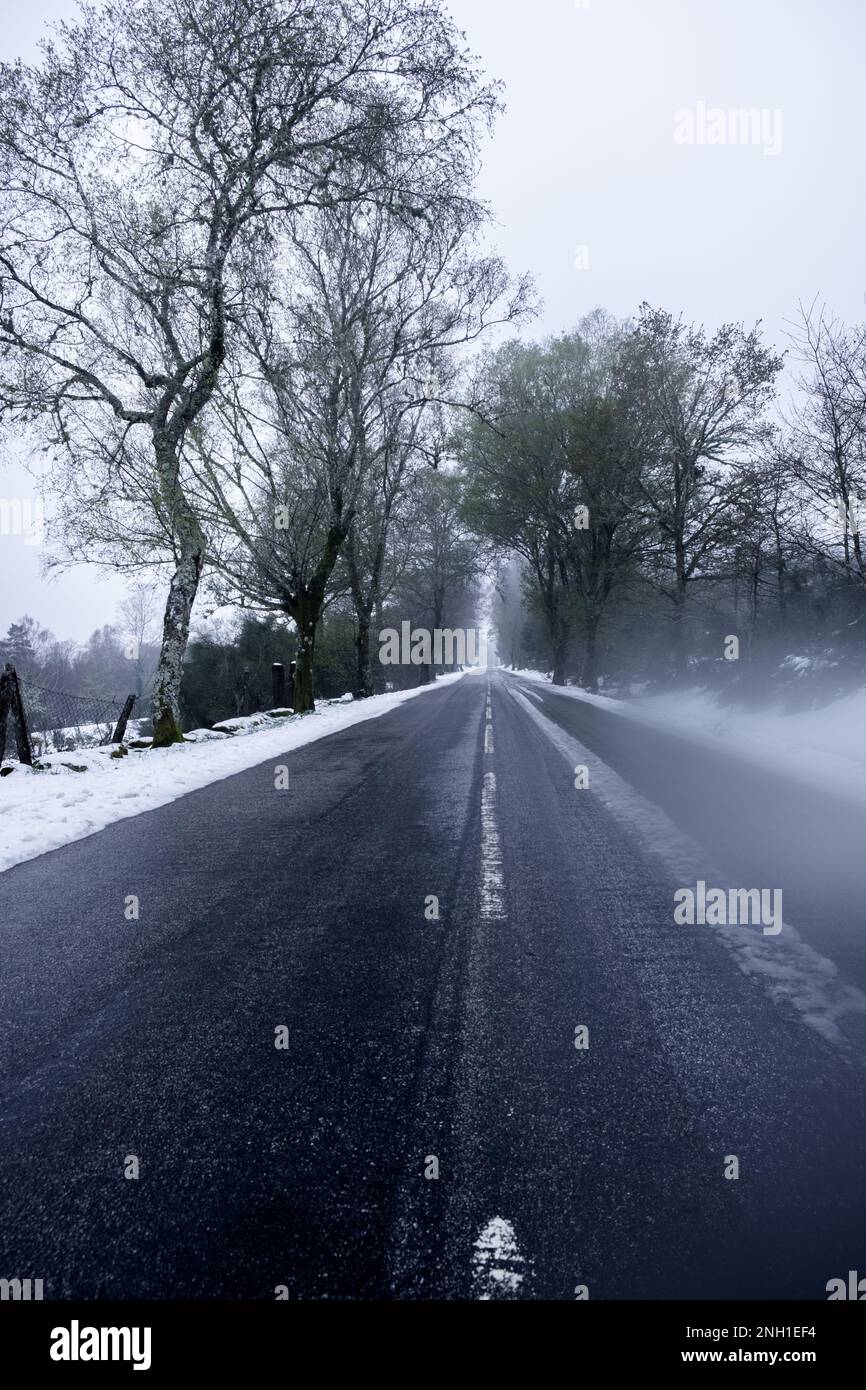 A scenic winter landscape featuring a street covered in snow, with ...