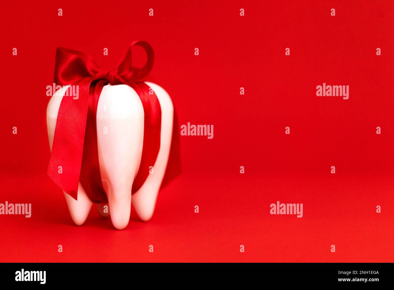 Tooth as a gift. A large white modal molar is tied with a red ribbon ...