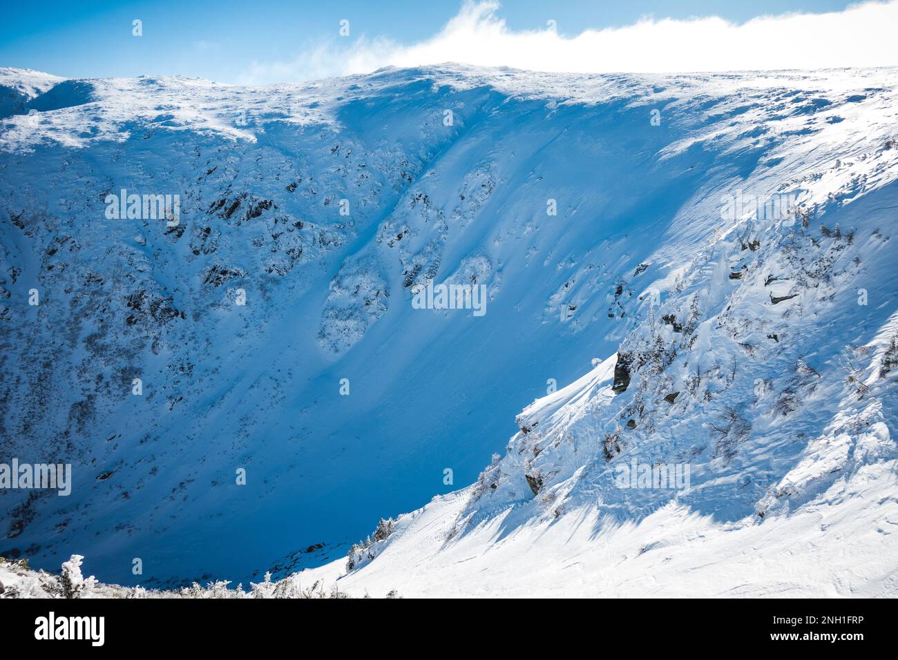 Sargents purchase hi-res stock photography and images - Alamy