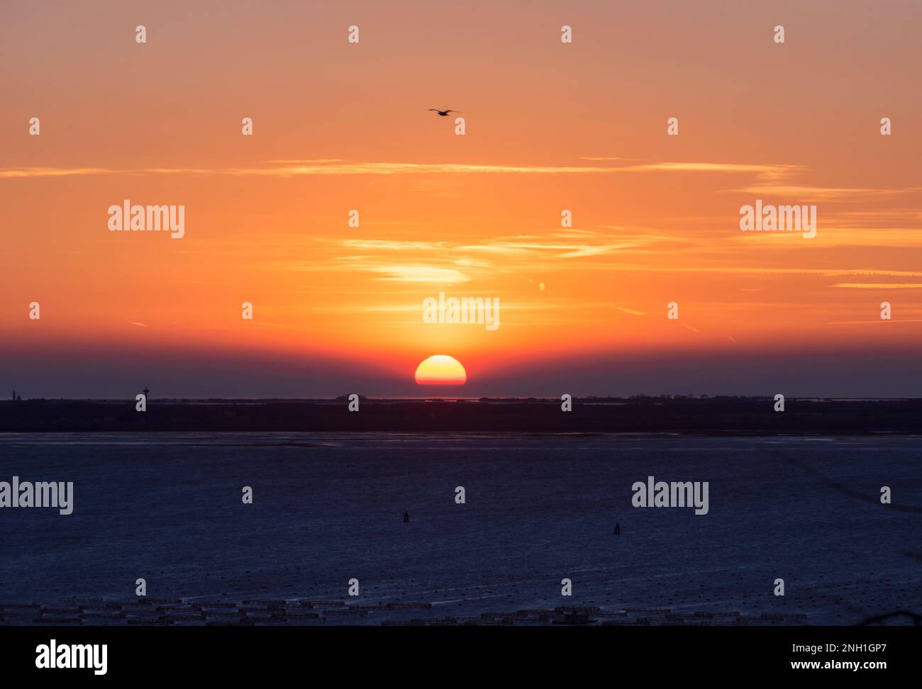 Sunset with golden light above the sea hi-res stock photography and ...