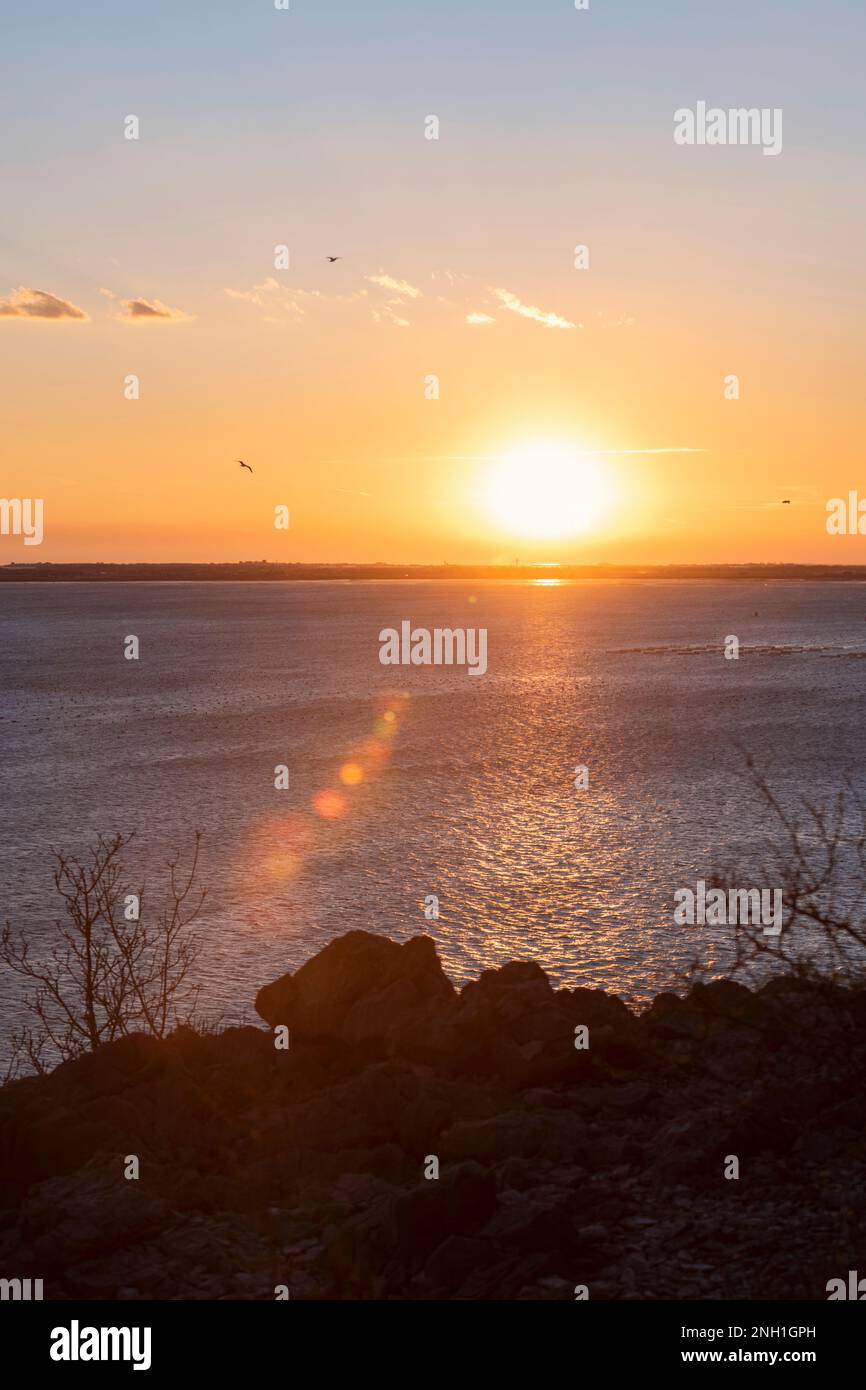 Sunset, clouds and gulls at the seaside, lens flare, rocky foreground ...