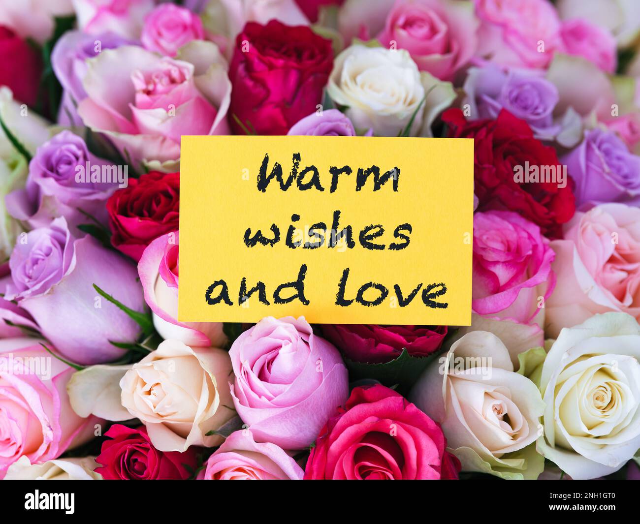 A yellow greeting card with words Warm Wishes and Love laying on a big ...