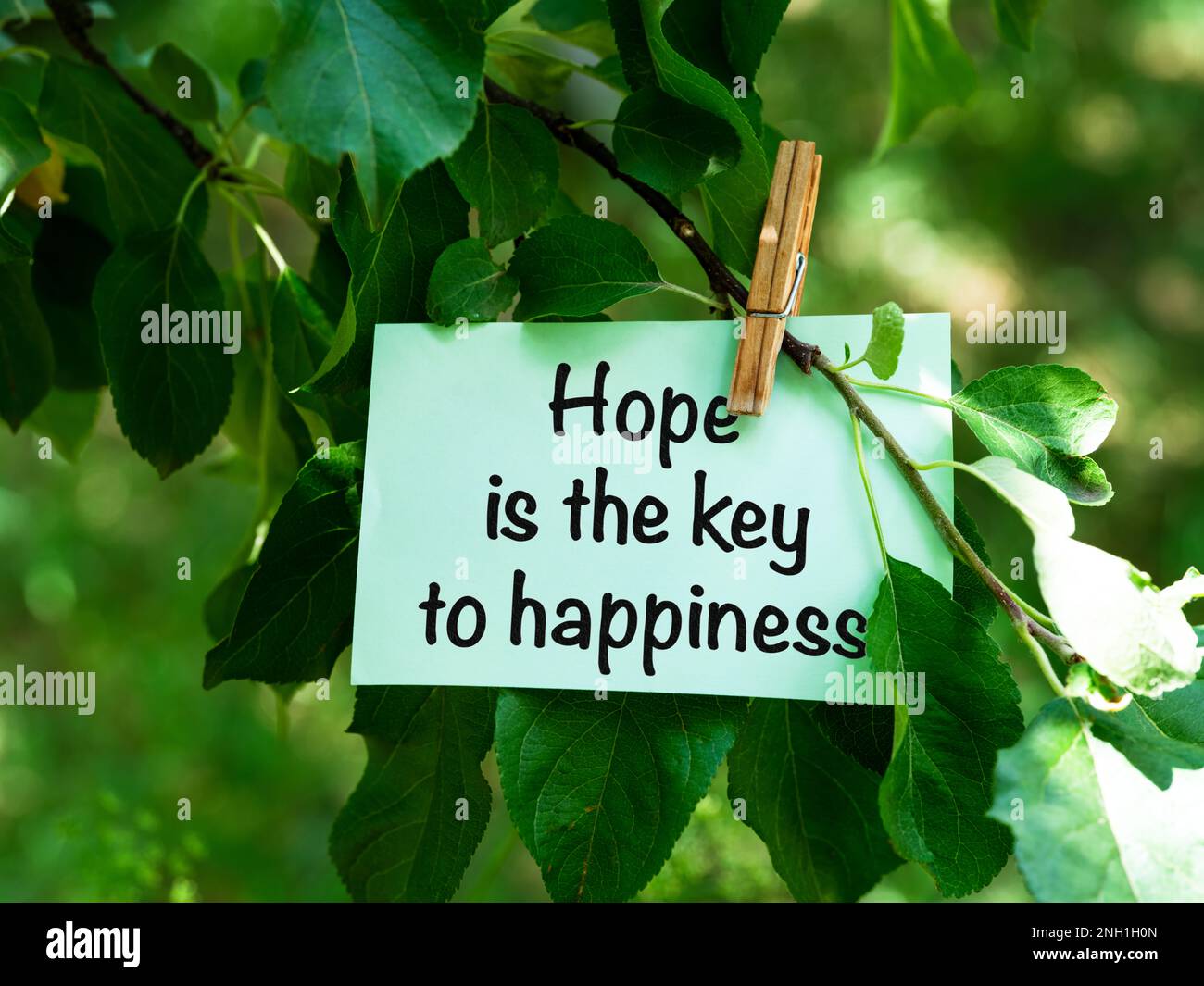 Green paper note with words Hope is the Key to Happiness hanging on a ...