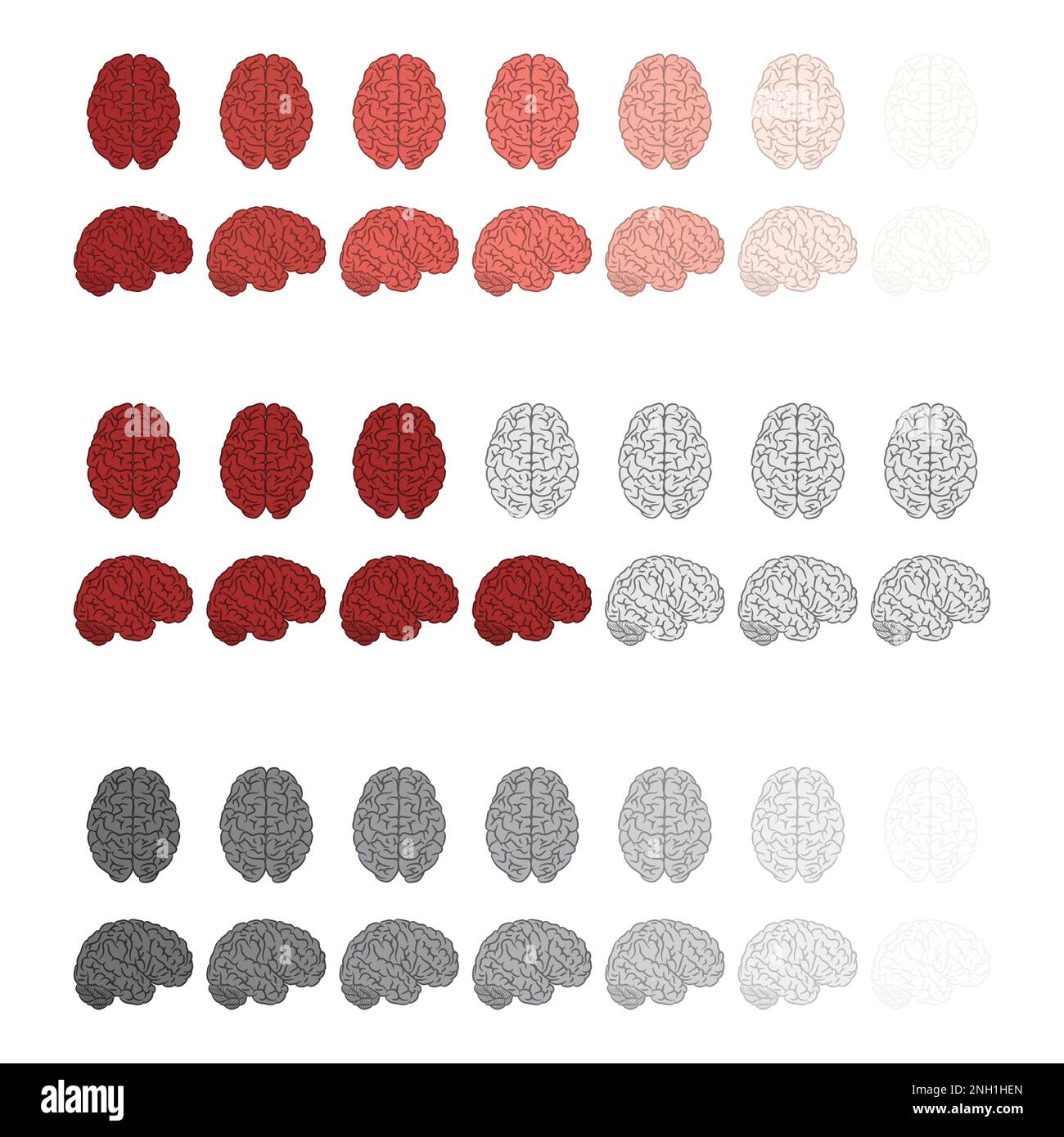 Human brain silhouettes color set Stock Vector Image & Art - Alamy