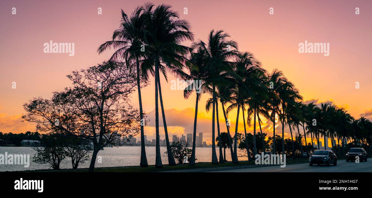 sunset road cars palms skyline miami Florida Stock Photo - Alamy