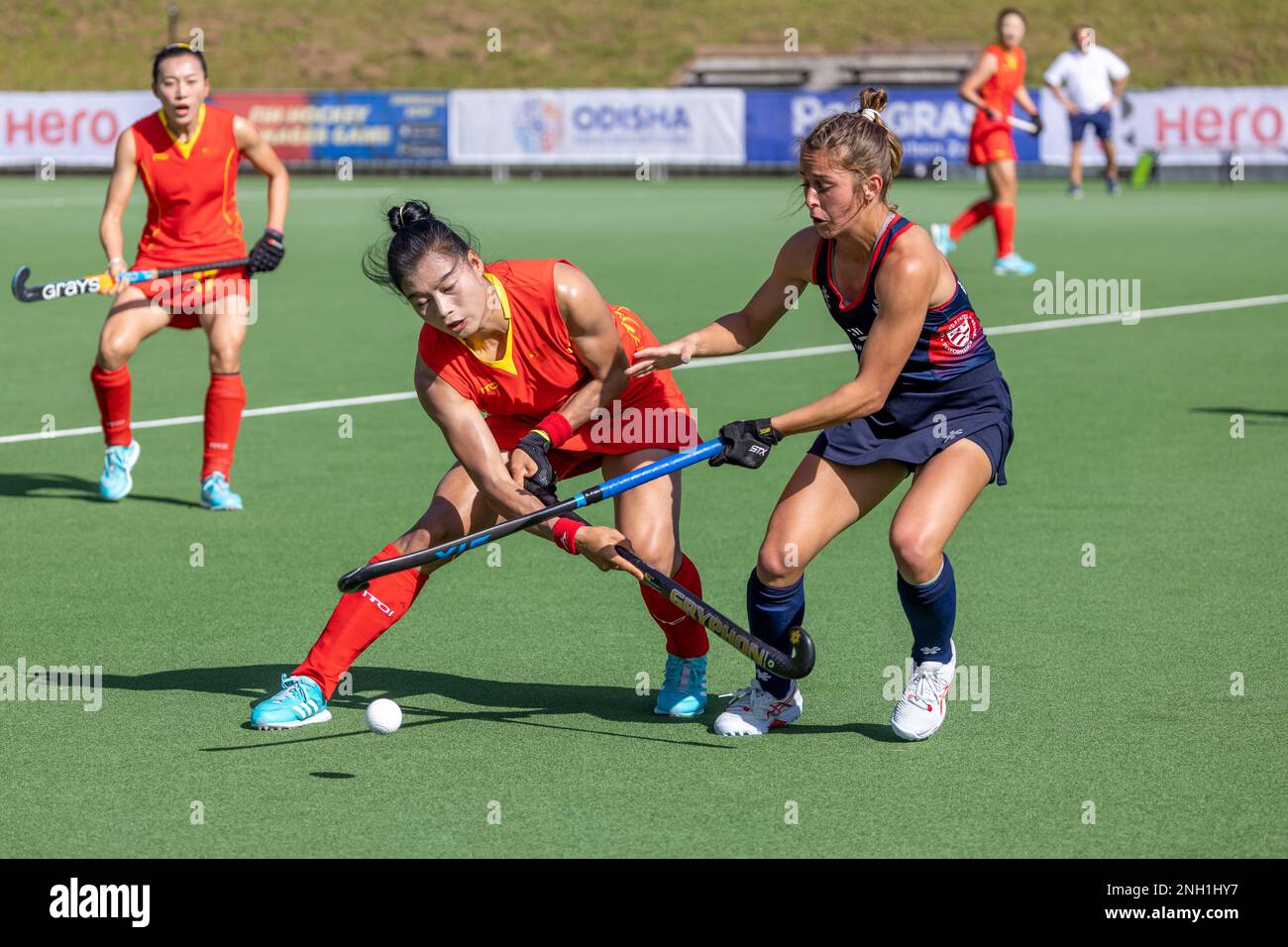 National hockey stadium wellington hi-res stock photography and images ...