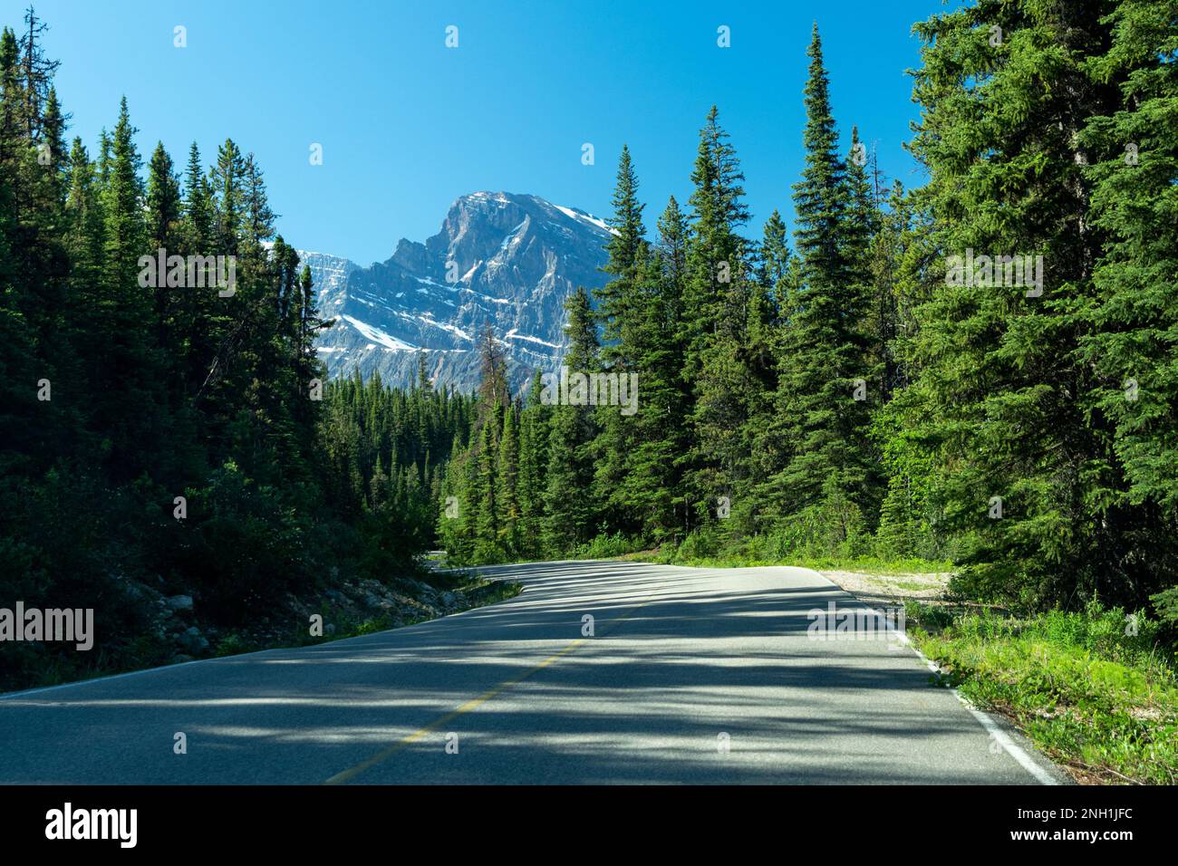 Canadian Rockies rural road landscape. Forest with Mount Edith Cavell ...
