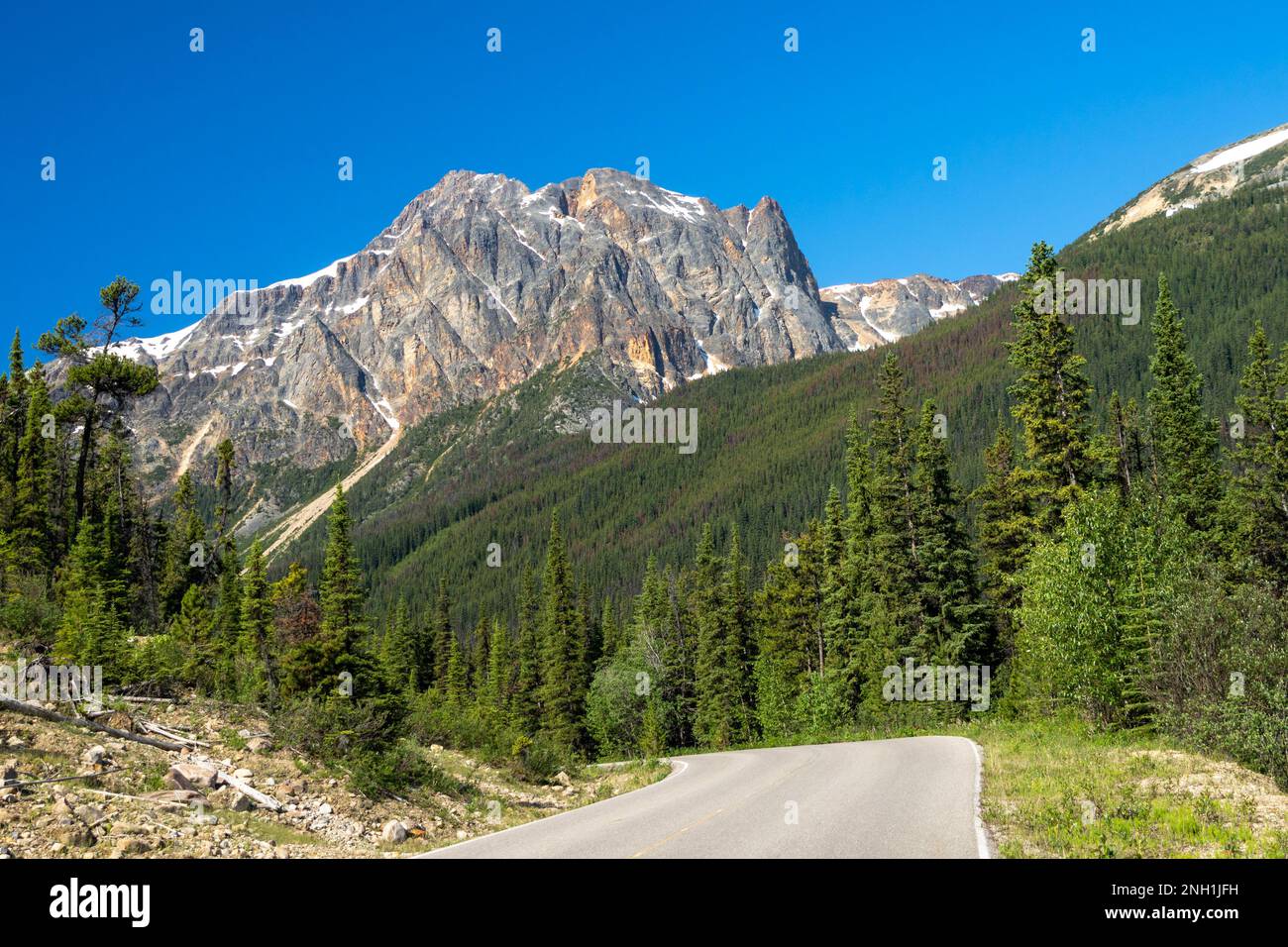 Canadian Rockies rural road landscape. Forest and mountain in the ...