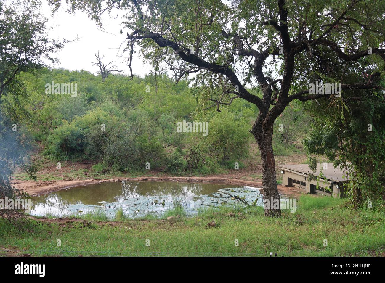 Lodge hide hi-res stock photography and images - Alamy