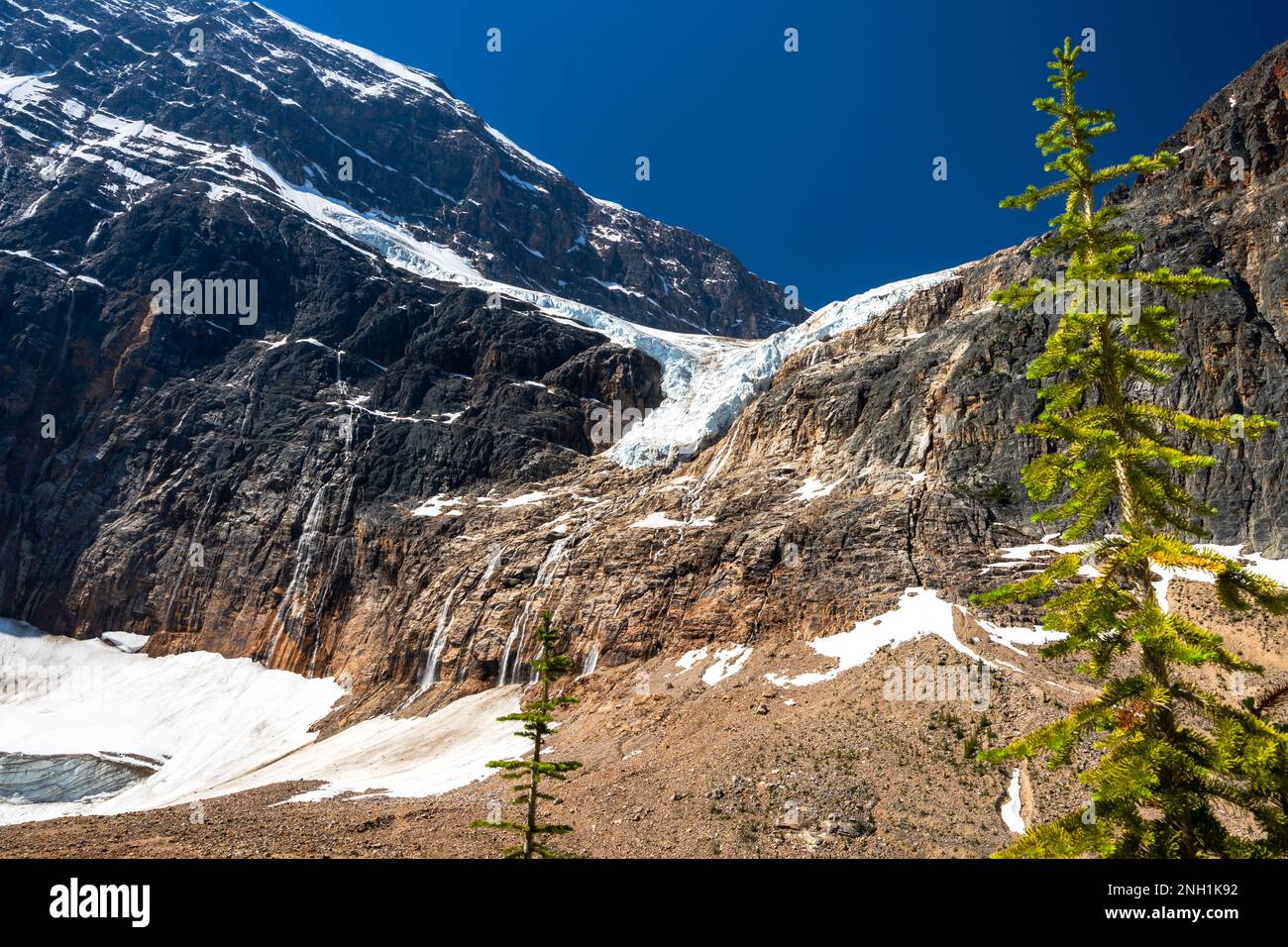 Angel Glacier Mount Edith Cavell in 2021 summer. Jasper National Park ...
