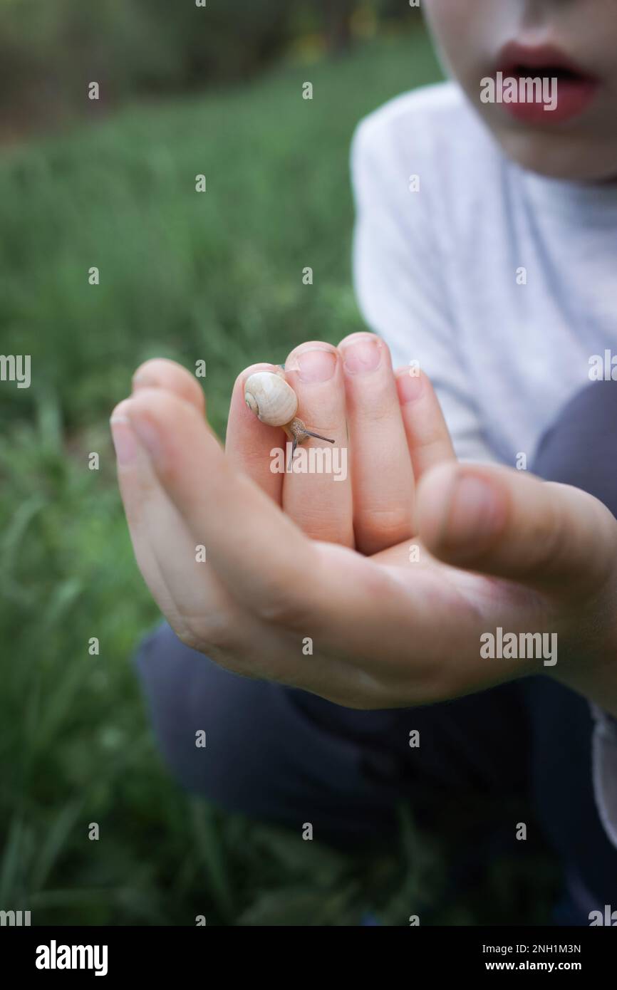 Snail on hands hi-res stock photography and images - Alamy