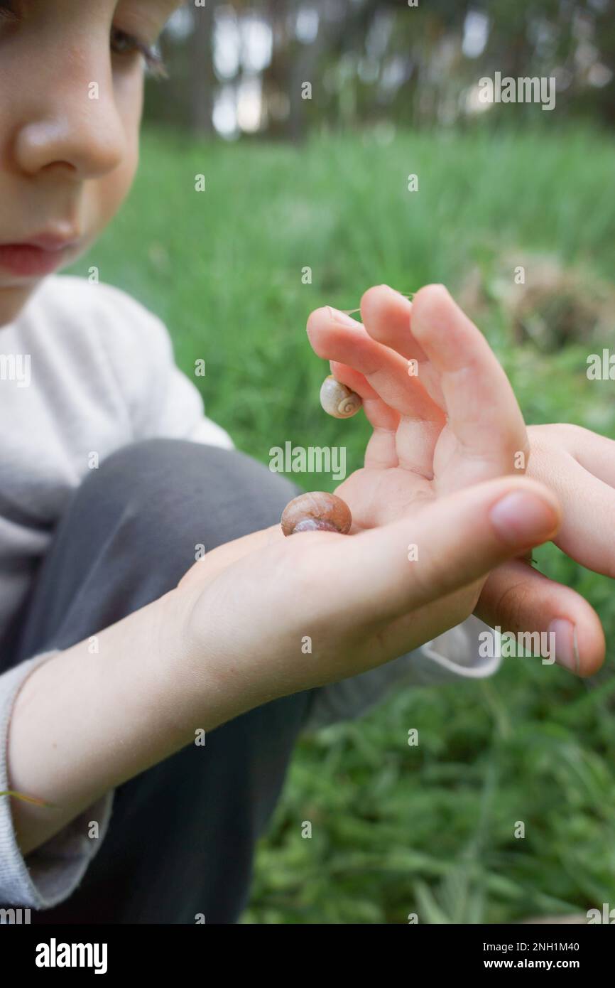 Hand holding snails hi-res stock photography and images - Alamy
