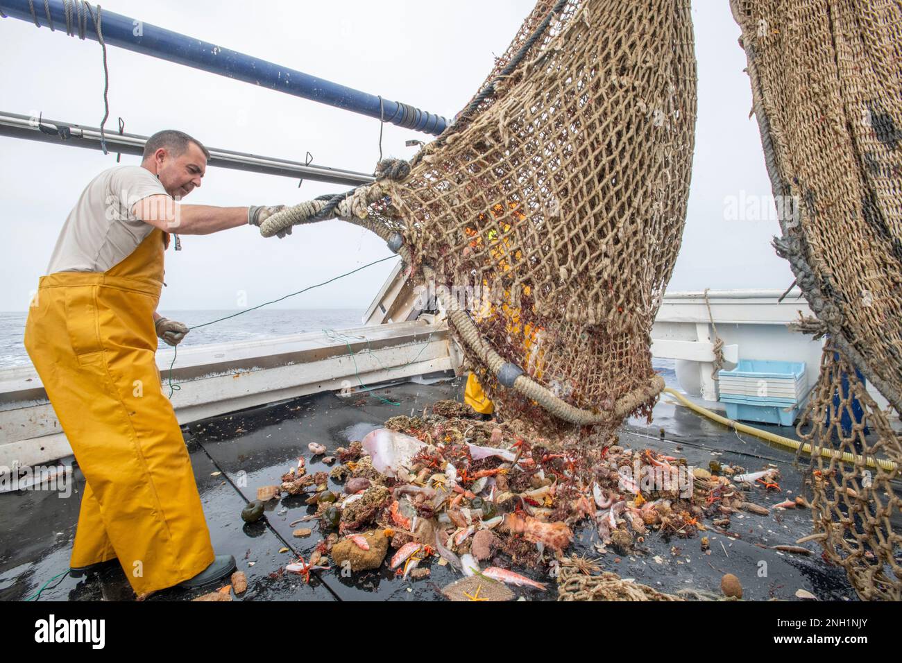Trawl fishing has a long tradition in Mallorca Stock Photo - Alamy