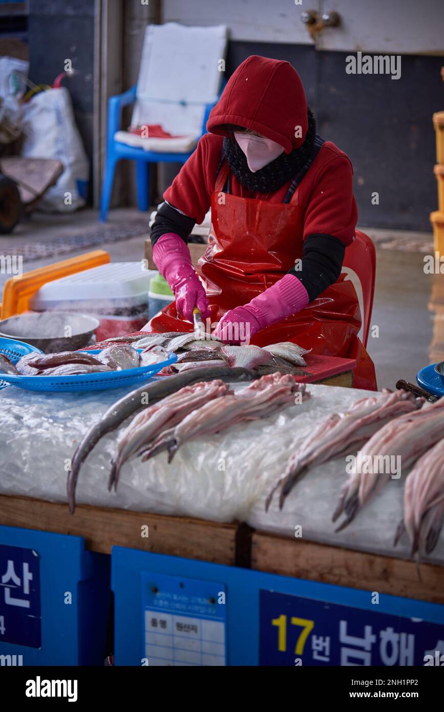 Jagalchi Fish Market the largest seafood market in Busan South Korea on ...