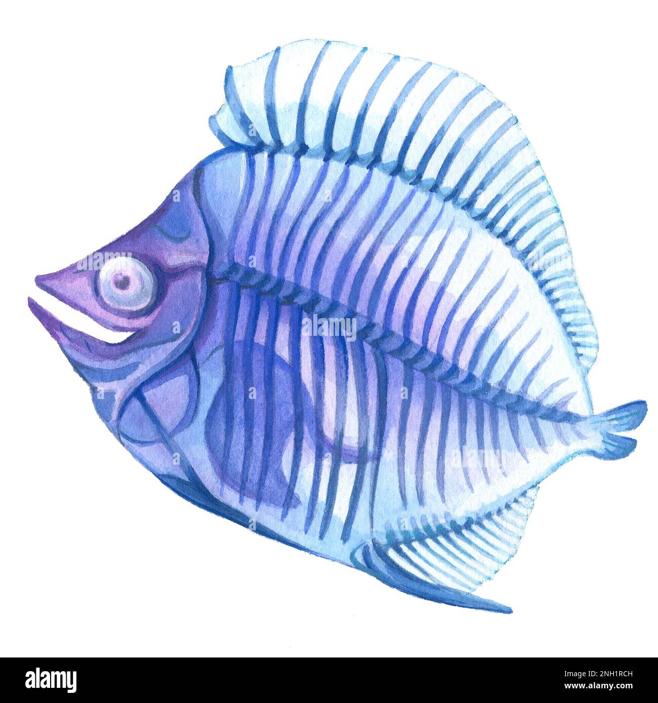 Transparent x ray hi-res stock photography and images - Alamy