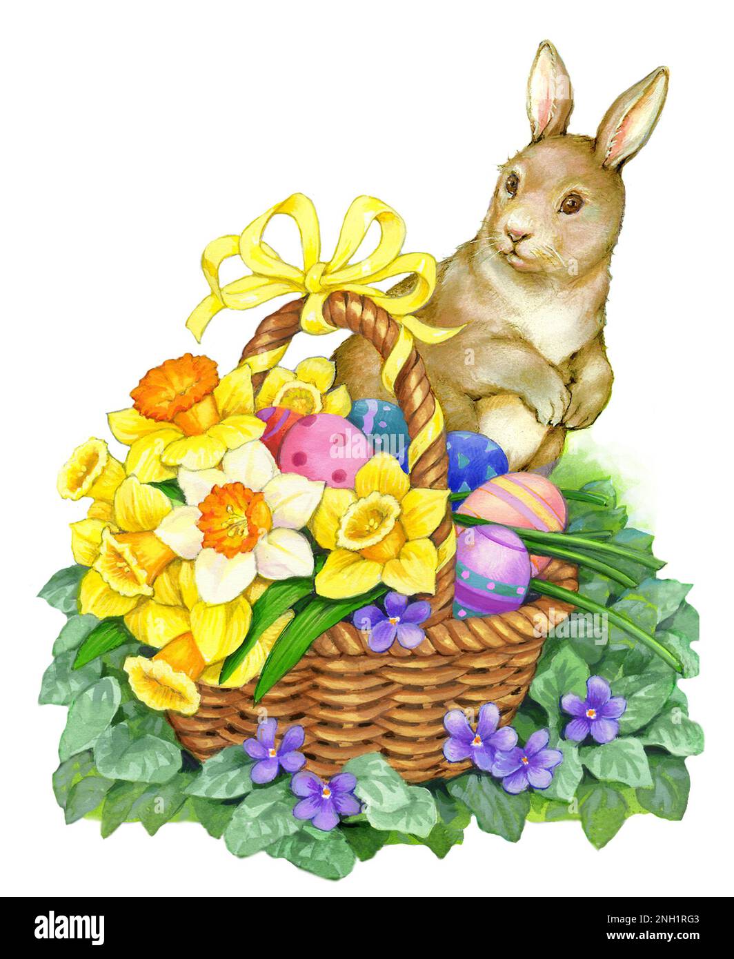 Easter- Bunny rabbit with basket of eggs & daffodils in violet patch ...