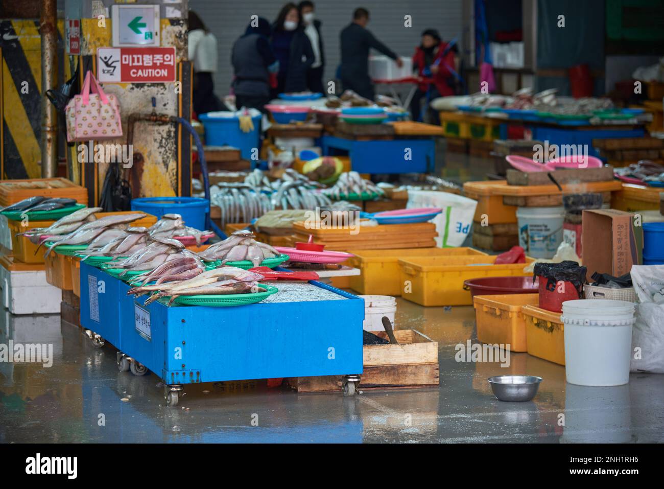 Jagalchi Fish Market the largest seafood market in Busan South Korea on ...