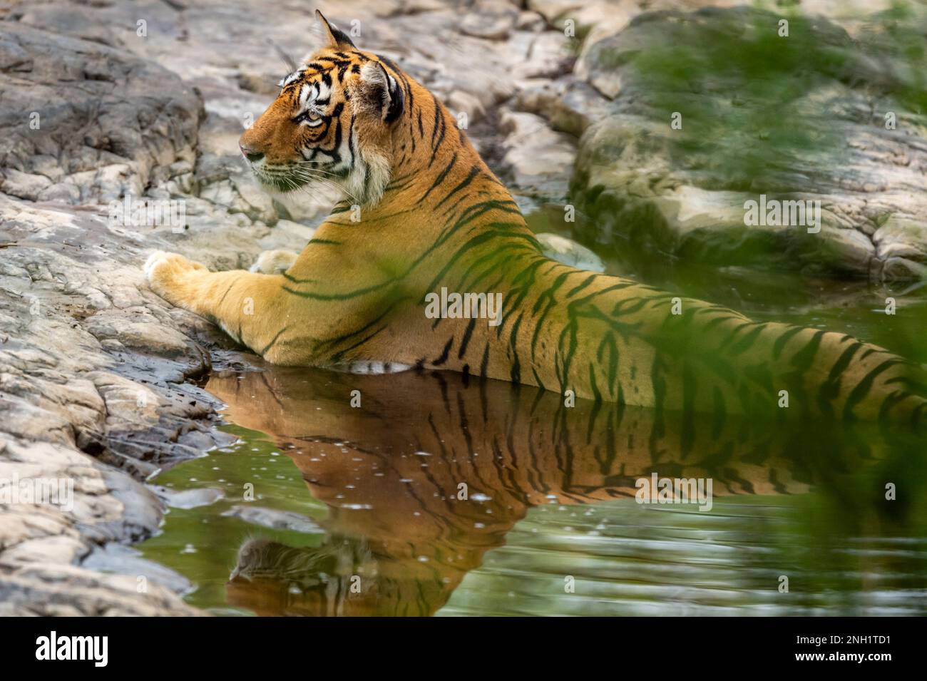 Heat source india hi-res stock photography and images - Alamy