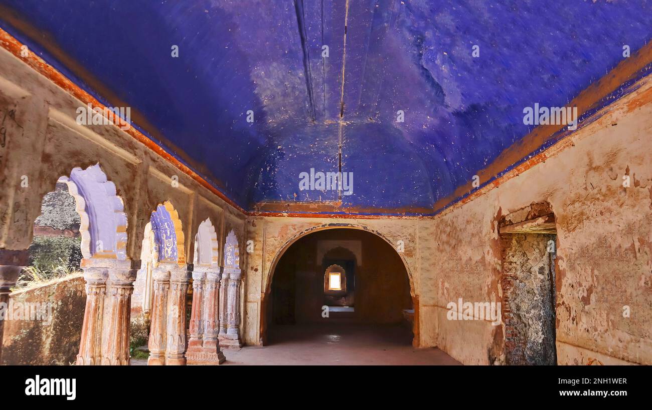 Nature color painting on the ceiling of Mandapa of Narsinghgarh Fort ...