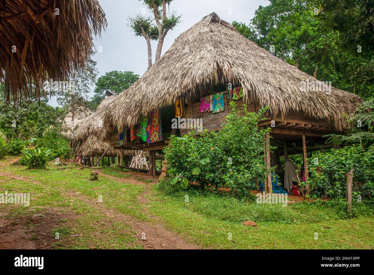 The indigenous Embera live in traditional huts with thatched roofs ...