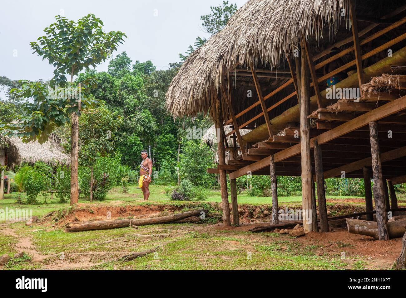 The indigenous Embera live in traditional huts with thatched roofs ...