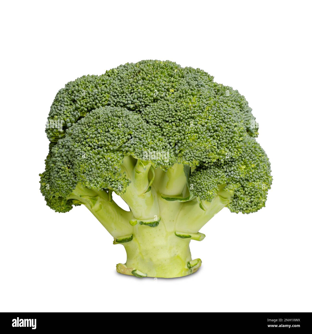 Broccoli cutout hi-res stock photography and images - Alamy