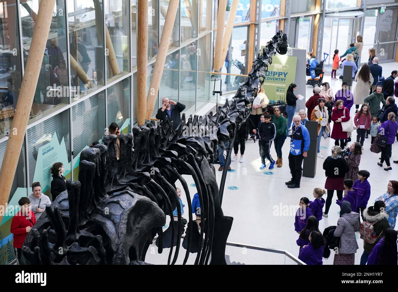 26 metre long diplodocus hi-res stock photography and images - Alamy