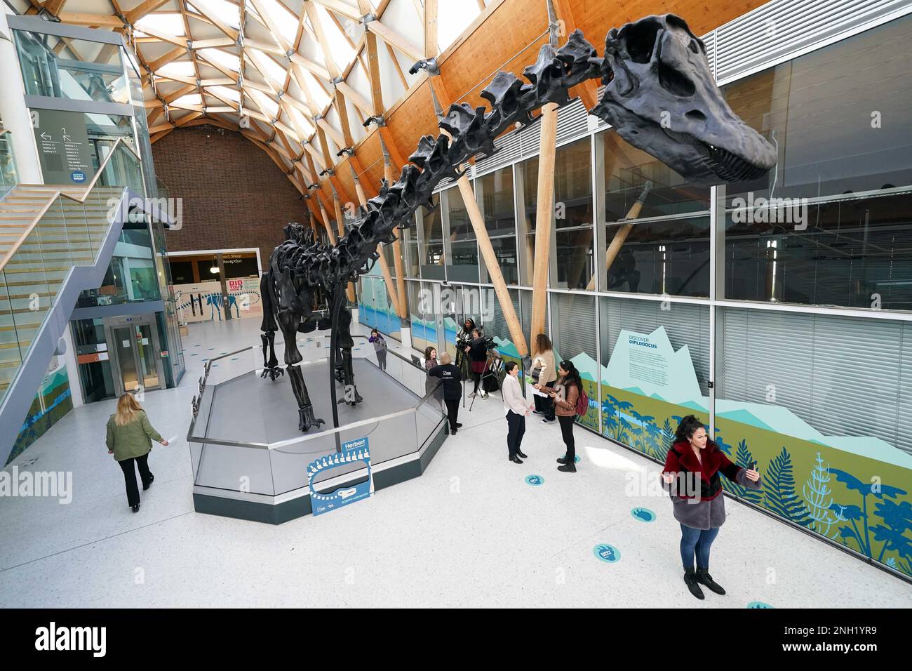 Visitors observe 'Dippy the Diplodocus' at the Herbert Art Gallery and ...
