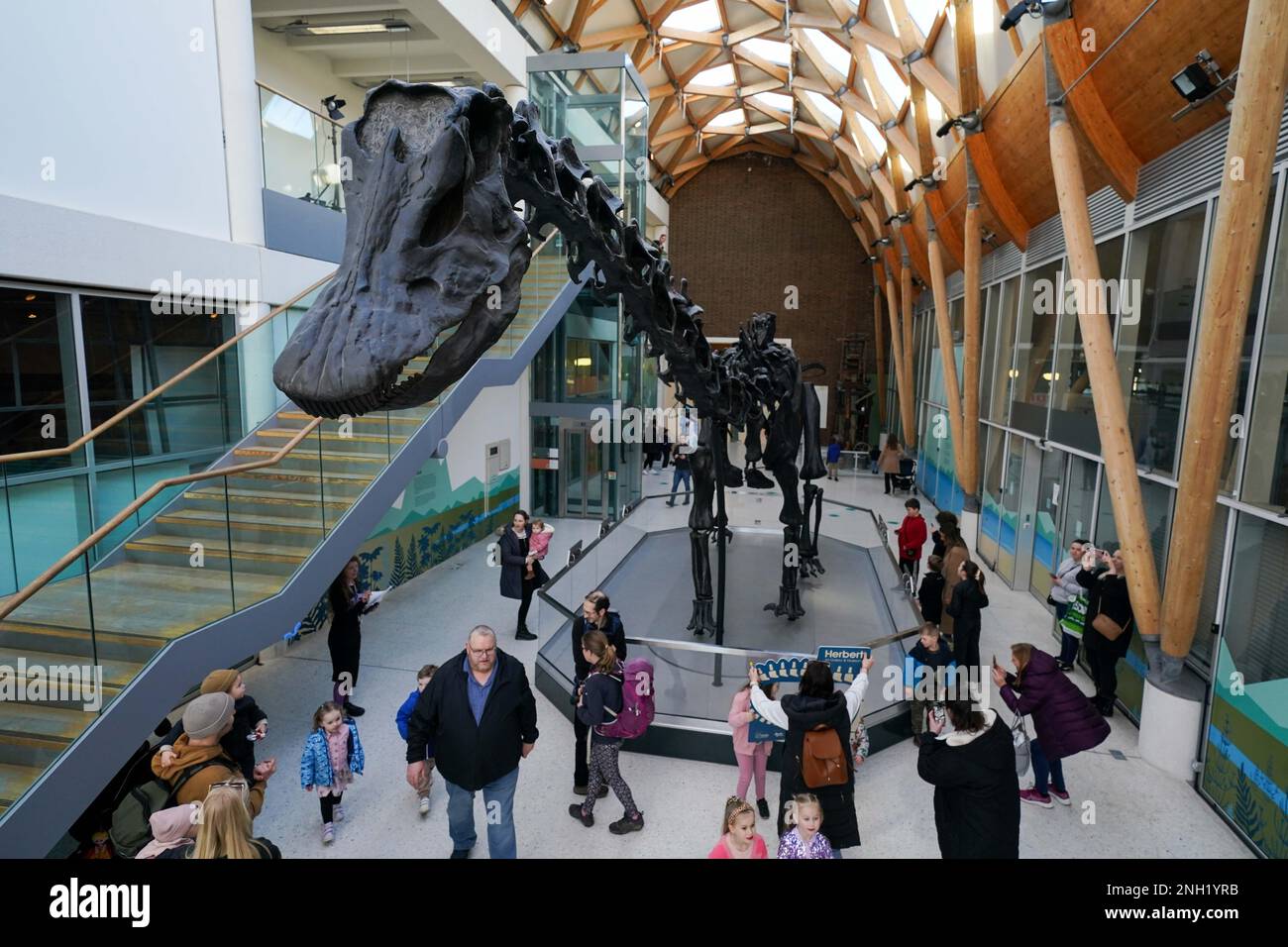 Visitors Observe Dippy The Diplodocus At The Herbert Art Gallery And