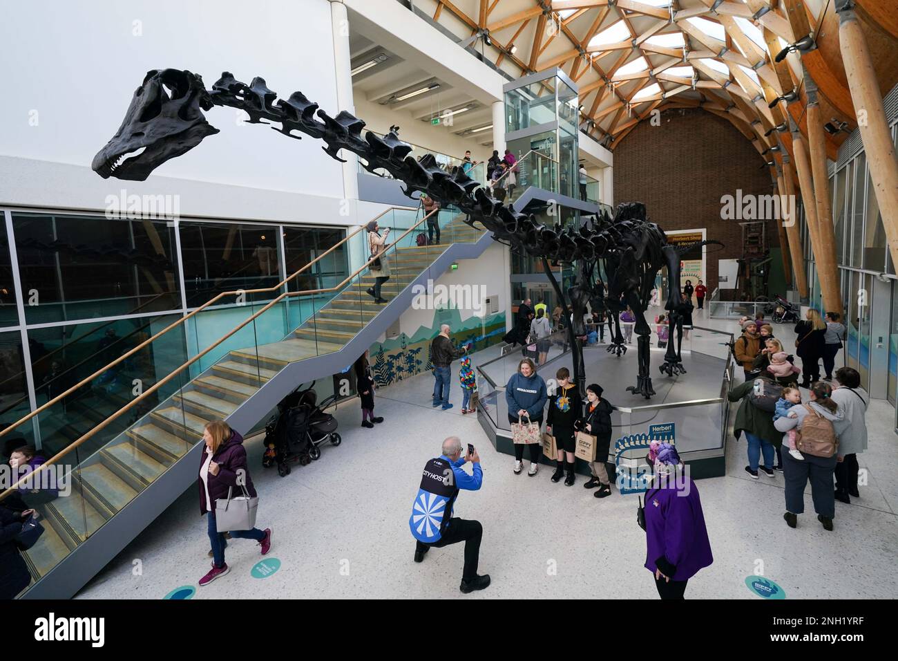Visitors observe 'Dippy the Diplodocus' at the Herbert Art Gallery and ...