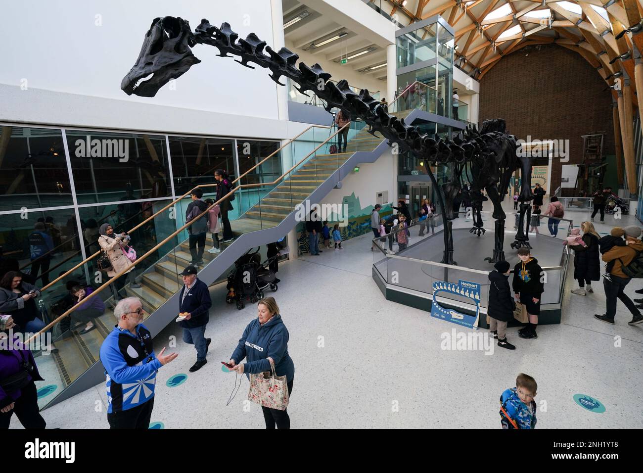 Visitors Observe Dippy The Diplodocus At The Herbert Art Gallery And