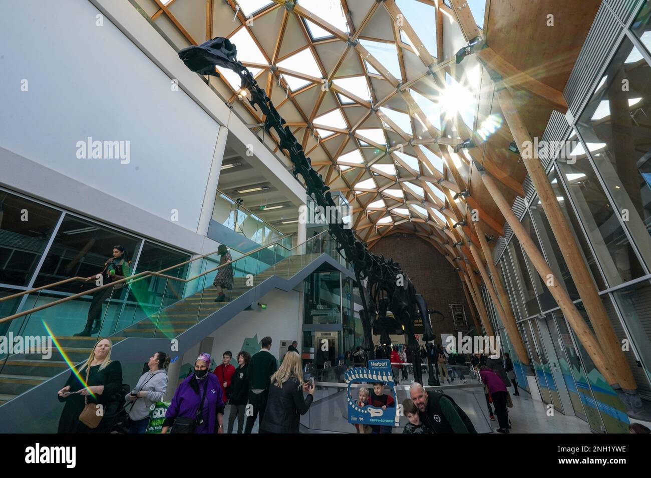26 metre long diplodocus hi-res stock photography and images - Alamy