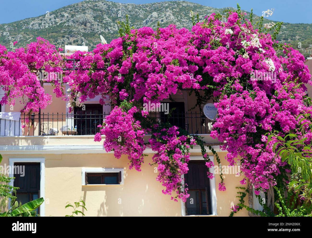 Village buildings with bougainvillea flowers hi-res stock photography ...