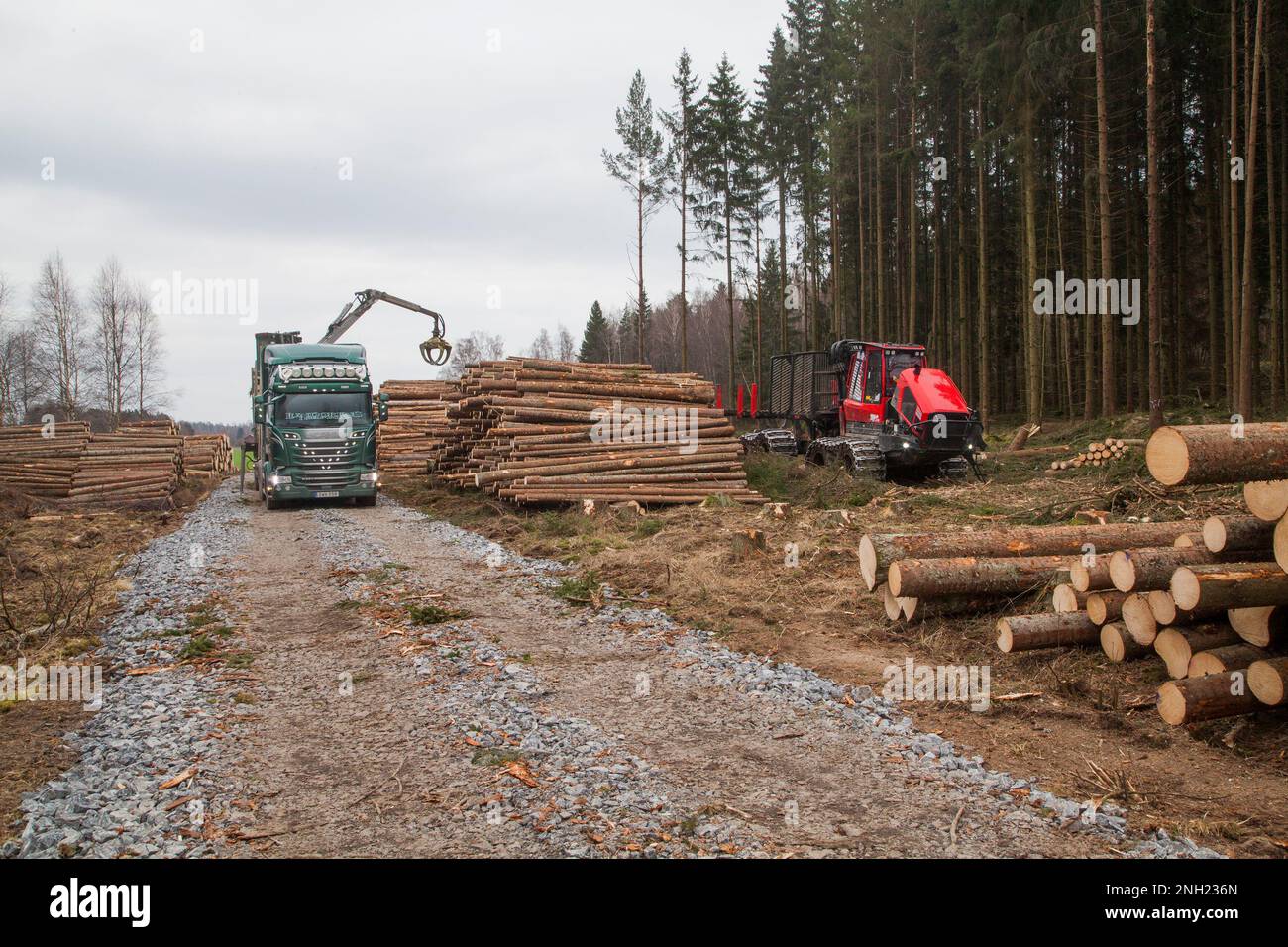Logging truck loading timberdeforastation area Stock Photo - Alamy