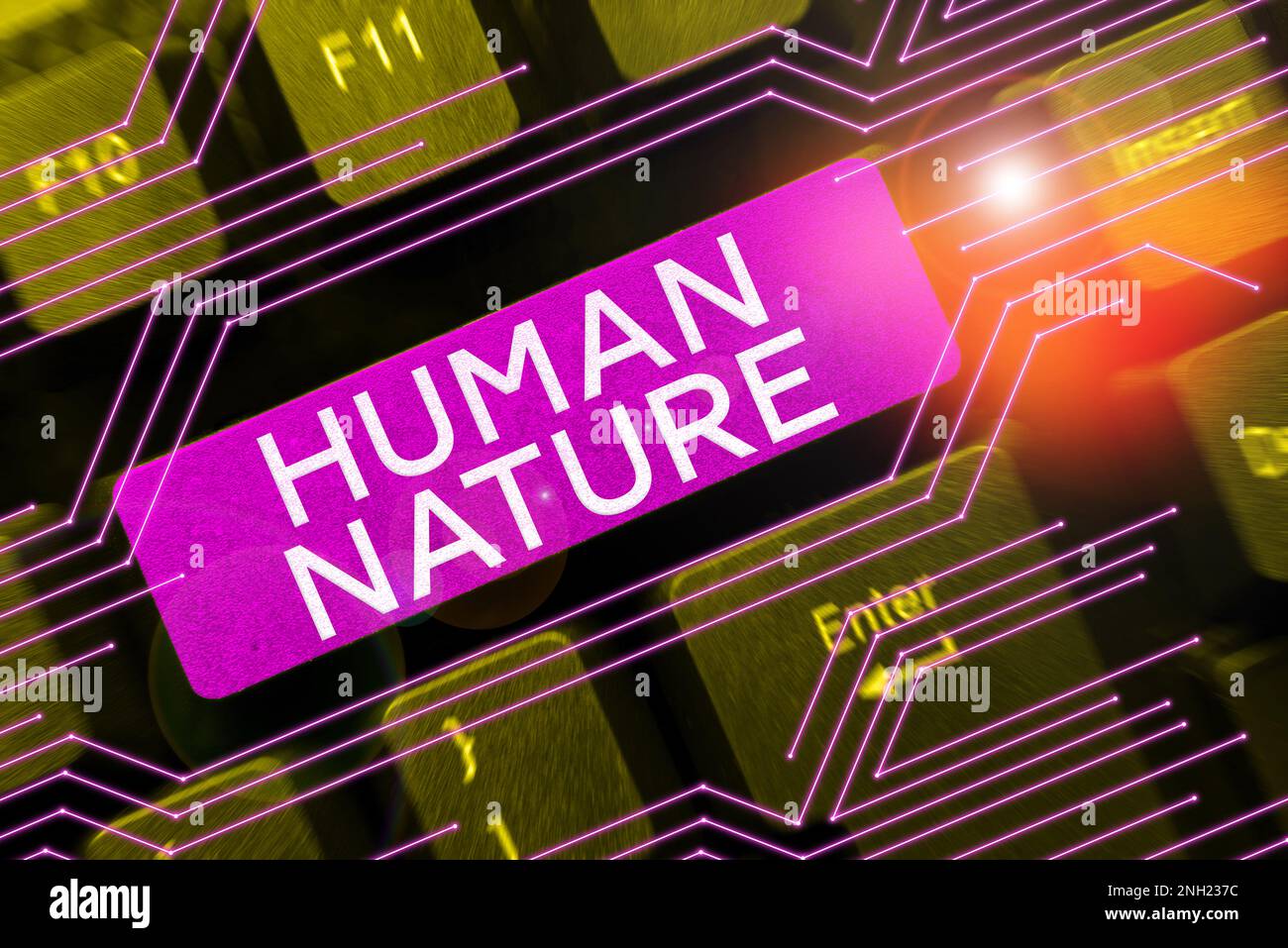 Conceptual display Human Nature, Business idea psychological ...