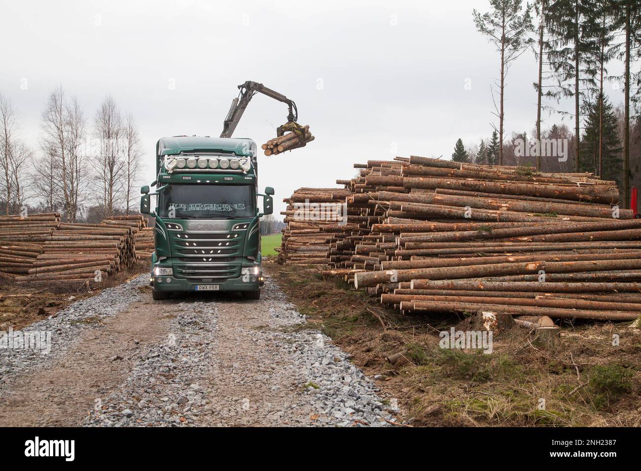 Logging truck loading timberdeforastation area Stock Photo - Alamy