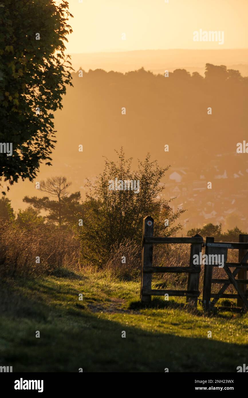Farm Stye Gate in the Surrey Hills near Dorking England. Taken at dawn ...