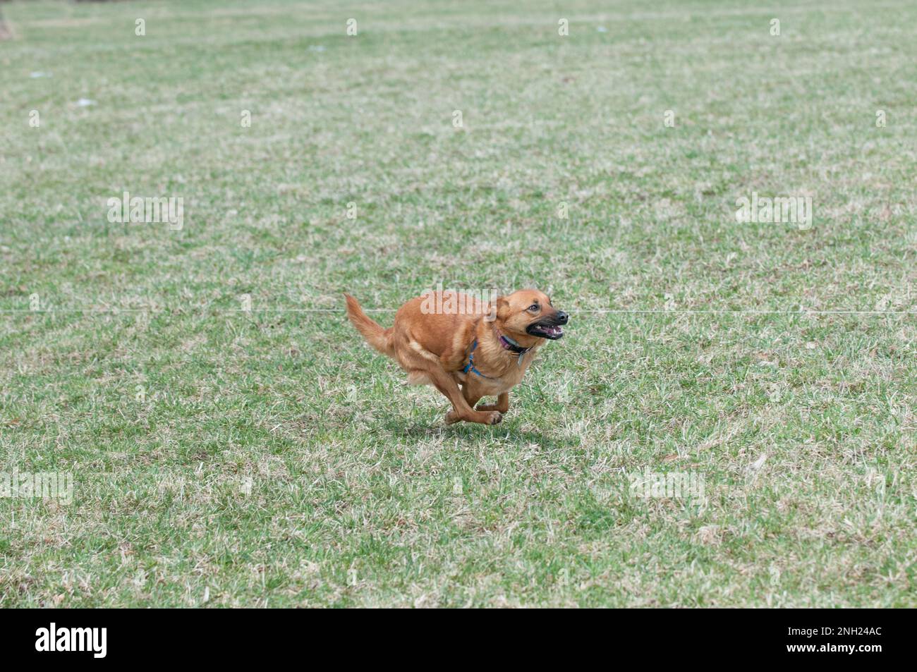 Running movement hi-res stock photography and images - Alamy