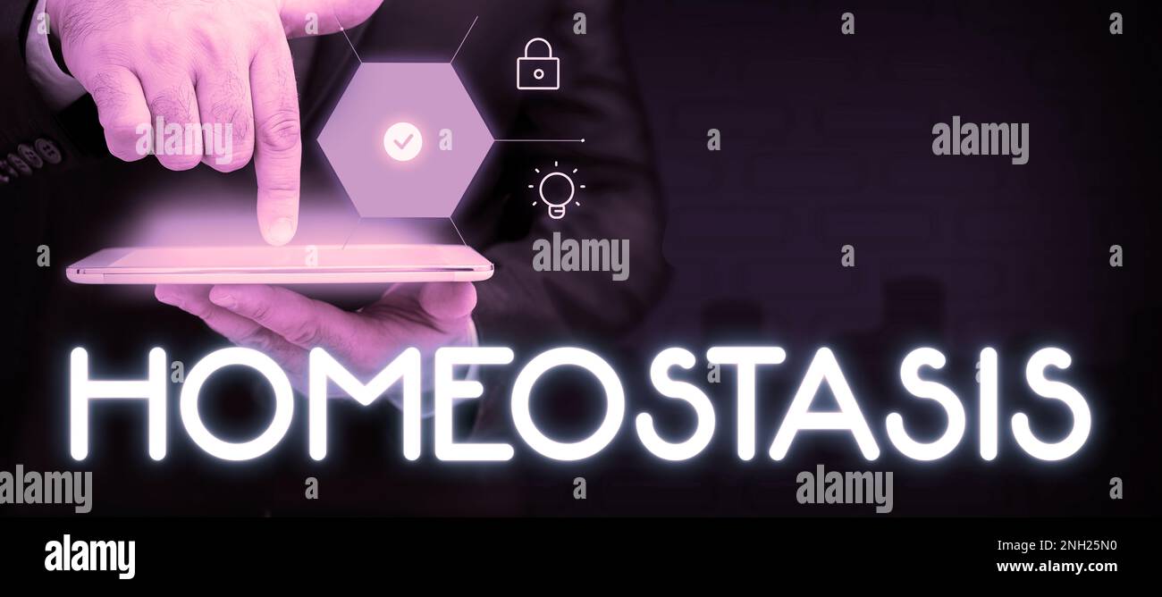 Handwriting text Homeostasis. Concept meaning the tendency toward a ...