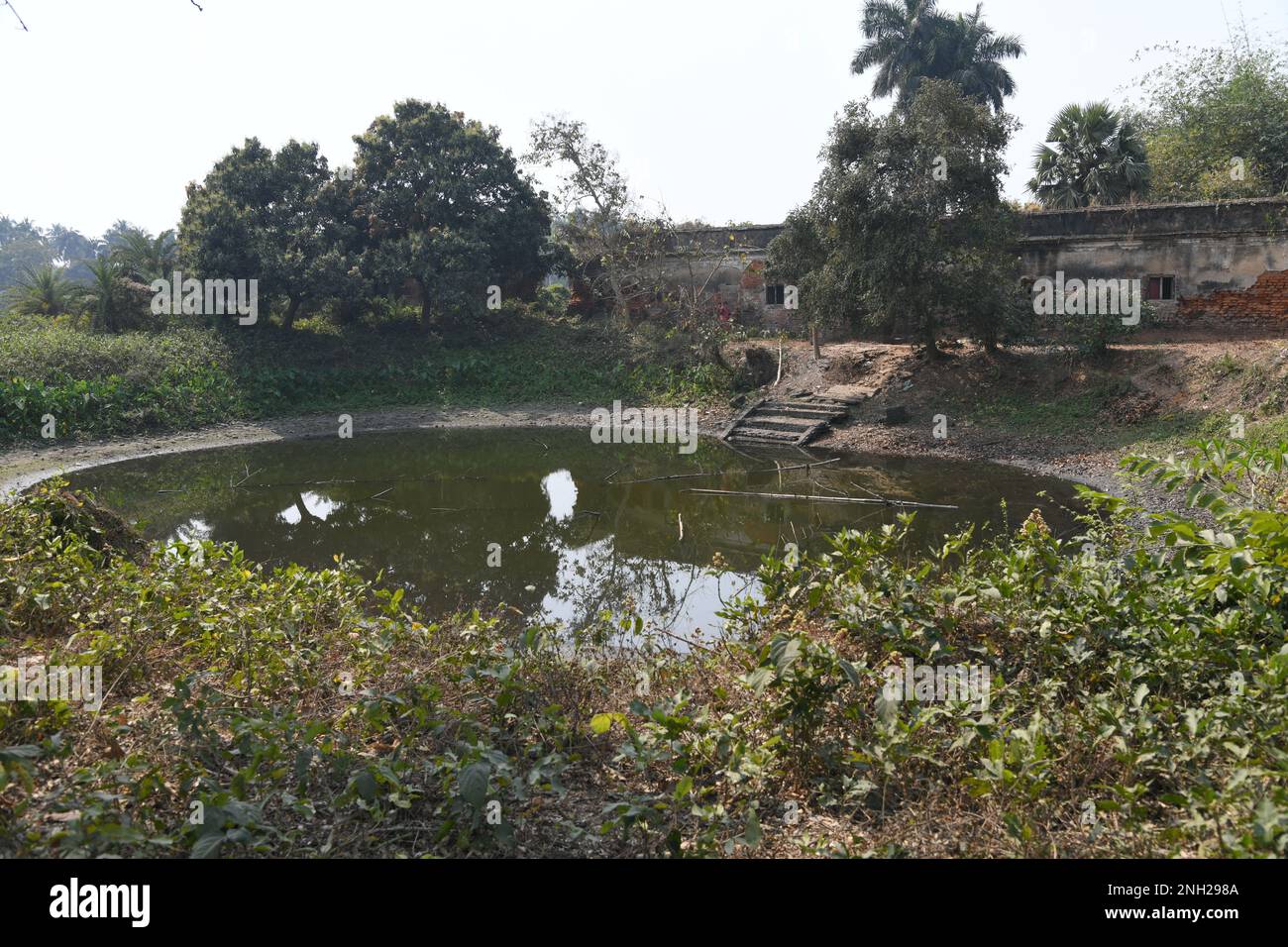 Pond for the staff of the Sinha Raya Baganbati Estates. Chakdighi, East ...