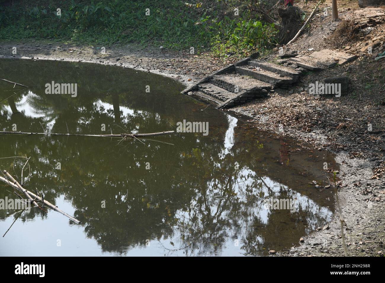 Pond for the staff of the Sinha Raya Baganbati Estates. Chakdighi, East ...